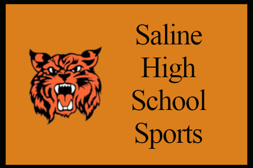 Saline Bobcats Basketball Schedule | Bienville Parish Journal