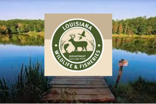 LDWF Office Closed to Walk-In Service June 20-24 | Bienville Parish Journal