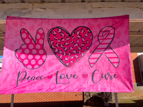 Bienville Holds Reception, Balloon Release for Pink Out Day | Bienville ...