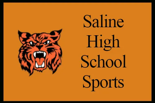Saline Bobcats defeat Dodson Panthers on back of clutch display from ...