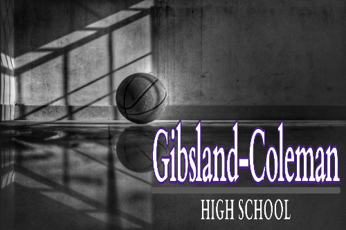 LHSAA 1-C All-District honors announced | Bienville Parish Journal