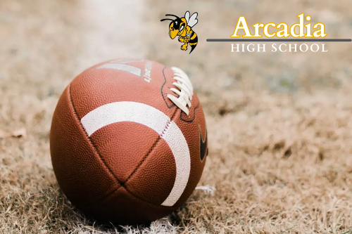 Arcadia Falls to Homer at Home | Bienville Parish Journal