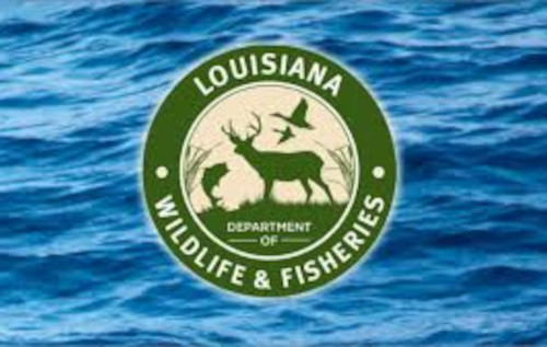 LDWF Secretary Sheahan extends some 2024-2025 hunting seasons due to ...